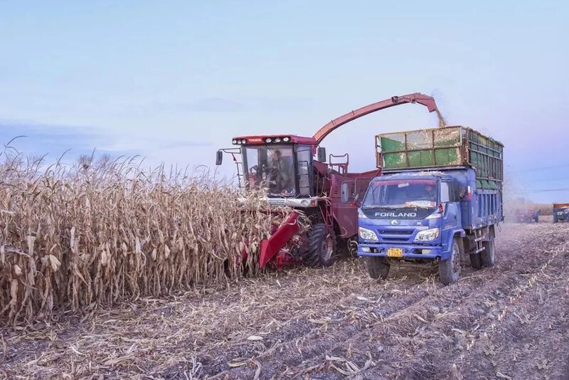 大疆发布全新农业无人机T50、T25，最高套装价格62999元 | 农机新闻网